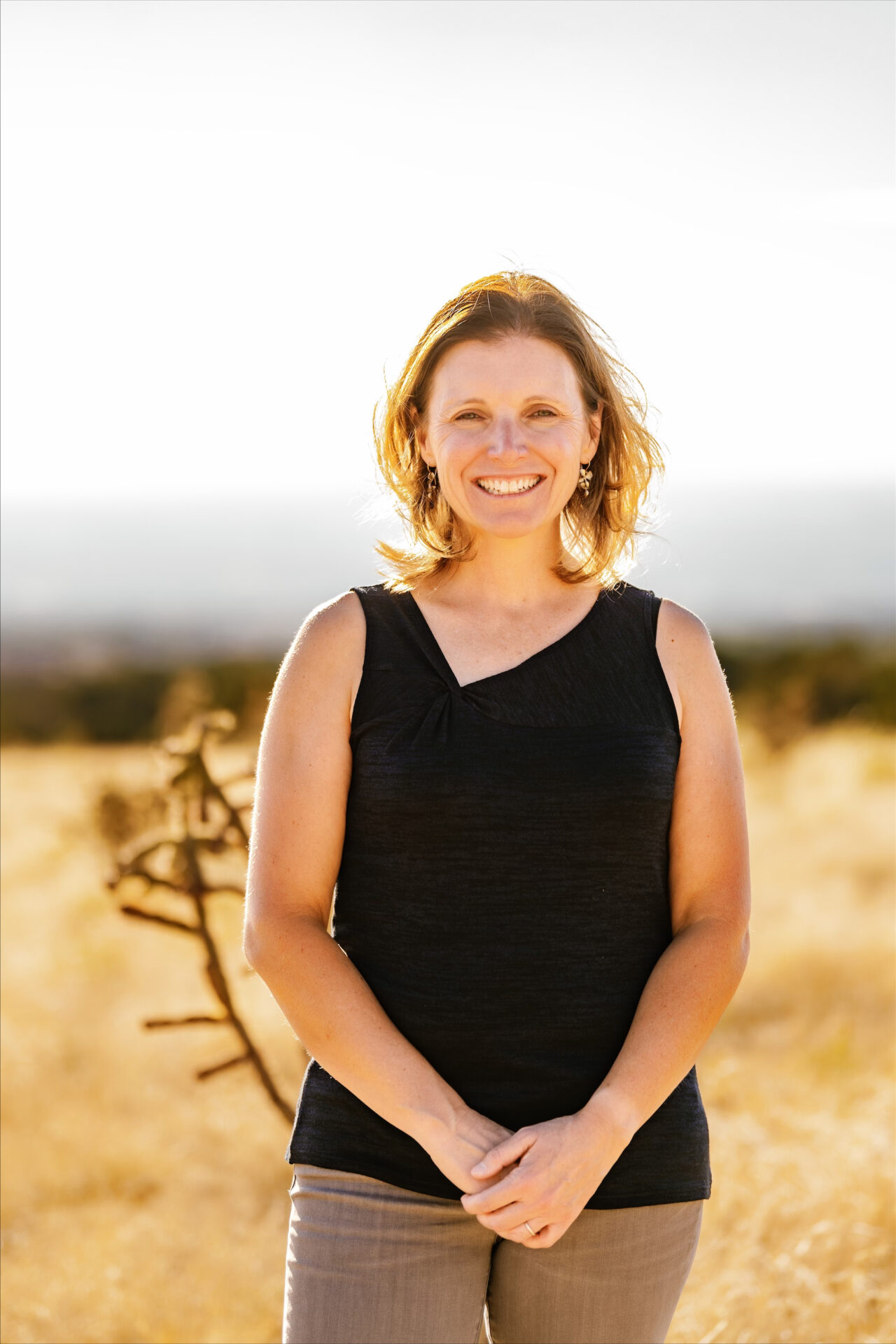 Governor appoints Elizabeth Anderson as State Engineer - Office of the ...